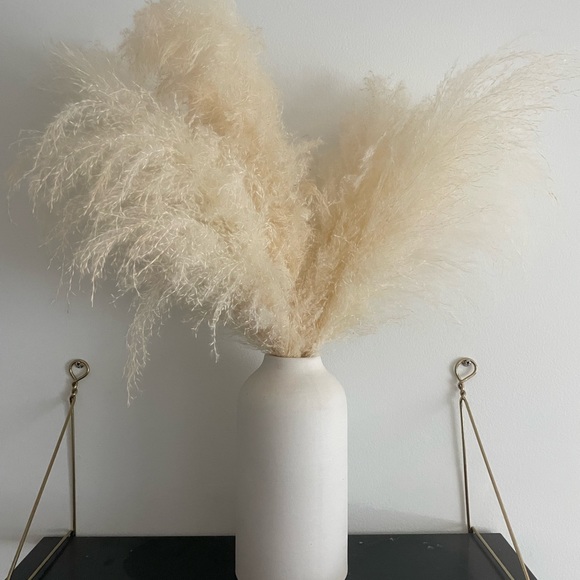 Aloha Boho | Accents | Medium 22 Whitecream Pampas Grass Fluffy Natural ...